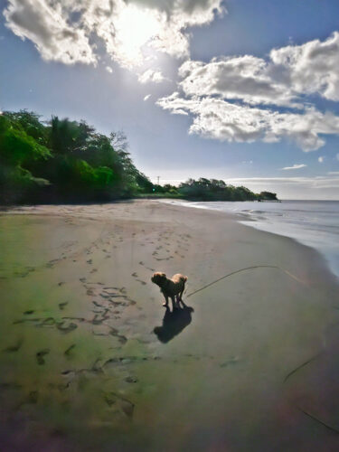 Photo of the Day: Gimli under the moon | News, Sports, Jobs - Maui News